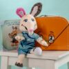 Het verhaal van Amley en Woko - Amley en Woko